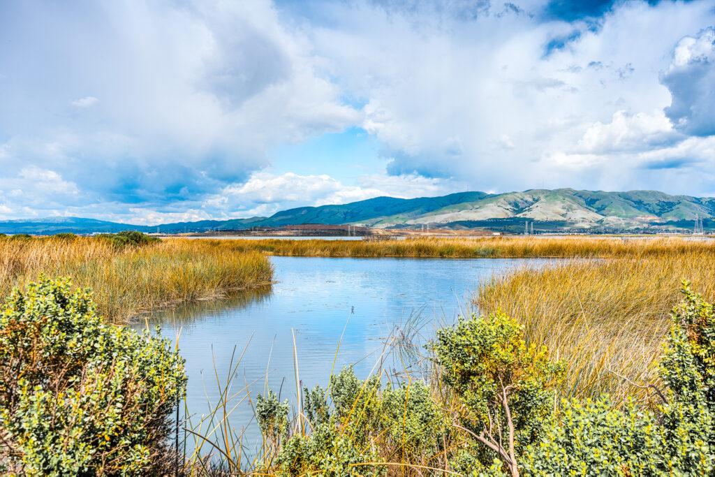 Healthy Rivers and Landscapes | California Watershed Restoration